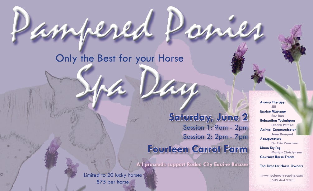 Pampered Ponies Spa Day - Rodeo City Equine Rescue